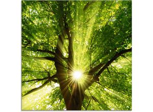 4062144101117 - Glasbild ARTLAND Sonne strahlt explosiv durch den Baum Bilder Gr B H 20 cm x 20 cm Bäume 1 St grün Glasbilder Bilder in verschiedenen Größen