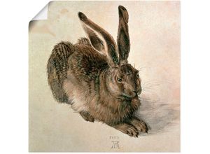 4055327653411 - Wandbild ARTLAND Junger Feldhase 1502 Bilder Gr B H 30 cm x 30 cm Poster Wildtiere 1 St braun Bild Poster Bilder als Leinwandbild Wandaufkleber oder in versch Größen