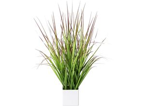 4064118968283 - Kunstgras CREATIV GREEN Blutgras Kunstpflanzen Gr B H 15 cm x 61 cm 1 St grün (grün rot) Kunst-Gräser im weißen Kunststofftopf