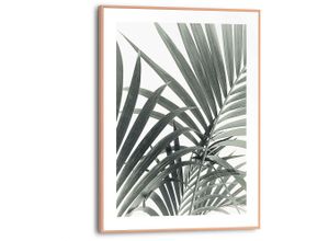 8714597587388 - Poster REINDERS Palmenblätter grün (farbe bild(er) grün) B30cm H40cm T16cm MDF Bilder