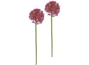 4019844812577 - Kunstblume IGEA Allium Zierlauch lila (mauve) B13cm H80cm L13cm Kunststoff Kunstpflanzen Stielblume künstliche Blumen 2er Set