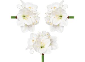 4064118884187 - Winterliche Kunstpflanze CREATIV DECO Weihnachtsdeko Kunstpflanzen Gr H 56 cm 3 St weiß Kunstpflanzen üppige Blütenpracht 3er-Set