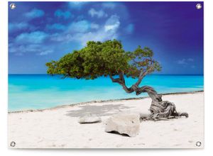 8714597628173 - Poster REINDERS Tropische Insel blau (farbe bild(er) blau) B80cm H60cm T01cm Leinwand Bilder