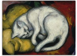4058661196682 - Wandbild ARTLAND Die weisse Katze 1912 Bilder Gr B H 40 cm x 30 cm Leinwandbild Haustiere 1 St weiß Bild Metallbild Metallbilder Bilder als Alubild Leinwandbild Wandaufkleber oder Poster in versch Größen