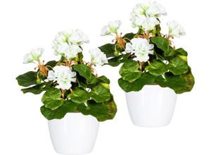 4064118840916 - Kunstpflanze HOME AFFAIRE Havel weiß B12cm H24cm Obermaterial 70% Polyester 30% Kunststoff Kunstpflanzen Künstliche Zimmerpflanze im Topf 2er Set