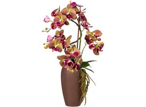 4064118137832 - Kunstorchidee CREATIV GREEN Phalaenopsisarrangement in Keramikvase bunt (grünlila) Kunstpflanzen H 70cm Obermaterial 100% Polyethylen H70cm