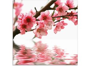 4055327037501 - Glasbild ARTLAND Pfirsichblüten reflektieren im Wasser Bilder Gr B H 20 cm x 20 cm Blumen 1 St pink Glasbilder Bilder in verschiedenen Größen