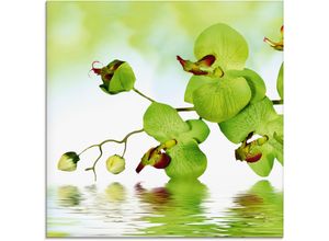 4058661614049 - Glasbild ARTLAND Schöne Orchidee mit grünem Hintergrund Bilder Gr B H 20 cm x 20 cm Blumen 1 St grün Glasbilder Bilder in verschiedenen Größen