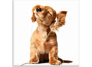 4055327034982 - Glasbild ARTLAND Junger Hund hört Musik über Kopfhörer Bilder Gr B H 20 cm x 20 cm Haustiere 1 St weiß Glasbilder Bilder in verschiedenen Größen