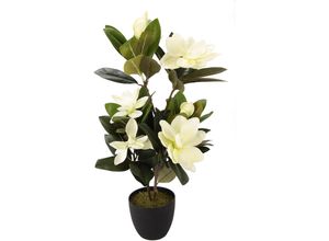 4019844742027 - Kunstbaum IGEA Magnolienbusch Kunstpflanzen Gr B H 40 cm x 68 cm 1 St weiß Kunstbaum Kunst-Bäume Kunstpflanzen im Kunststofftopf