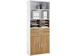 4029494117403 - Aktenregal Calvi braun (alteichefarben) B89cm H2215cm T40cm Holzwerkstoff Regale in 2 Höhen viel Staur verstellb Böden erweiterbar Breite 89 cm