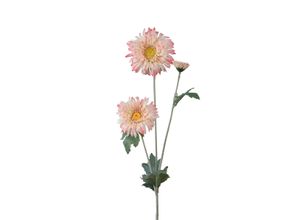 8720725796249 - Kunstblume BLOOM rosa (LBH 5x5x68 cm)