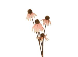 8720194797105 - Kunstblume ECHINACEA ROSA (BHT 9x92x3 cm) BHT 9x92x3 cm rosa Pflanze Kunstpflanze Zimmerpflanze