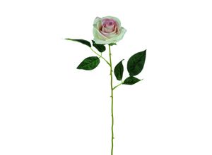 4043816338758 - Kunstblume ROSE (LBH 7x7x55 cm)