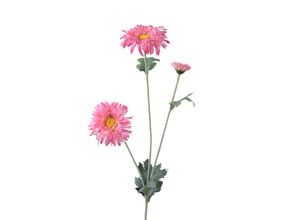 8720725751279 - Kunstblume BLOOM rosa (LBH 5x5x68 cm)