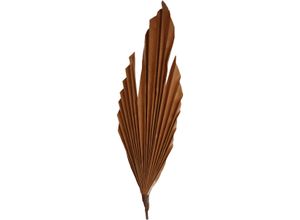 8719533271062 - Kunstzweig LEAF beige (H 86 cm)