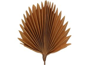 8719533271031 - Kunstzweig LEAF beige (H 55 cm)