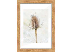 4251050596296 - Bilderrahmen AROSA Echtholz (BHT 23x33x2 cm) BHT 23x33x2 cm grün Fotorahmen 4251050596296 - Bilderrahmen AROSA Echtholz (BHT 23x33x2 cm) BHT 23x33x2 cm grün Fotorahmen