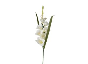 8720725455320 - Kunstblume GLADIOLUS