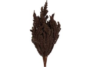 8719533270867 - Kunstzweig FIBRE BERRY BRANCH (H 58 cm)