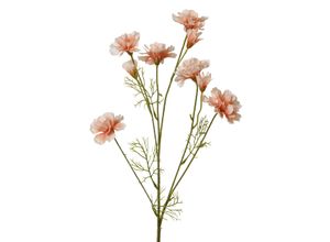 8720725107786 - Kunstblume CARNATION