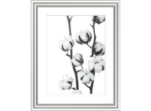 4250423812827 - - Kunststoffbilderrahmen Elegance alu-metallic-silber 40 x 50 cm Kunststoffrahmen