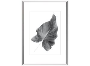 4250423812940 - Kunststoffbilderrahmen Elegance alu-metallic-silber 70 x 100 cm Kunststoffrahmen