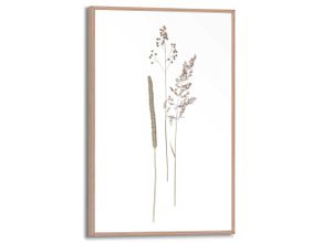 8714597655261 - Bild mit Rahmen REINDERS Dried Flowers beige (farbe bild(er) beige) B20cm H30cm T16cm Holzwerkstoff Bilder