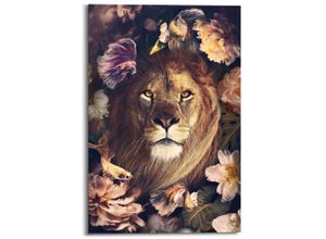 8714597636345 - Deco-Panel REINDERS Dschungel-Löwe braun (farbe bild(er) braun) B60cm H90cm T2cm Holzwerkstoff Bilder
