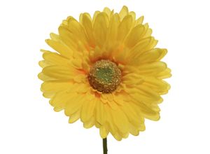 8711277139905 - Kunstblume GERBERA