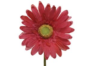 8711277139936 - Kunstblume GERBERA