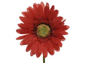 8711277139943 - Kunstblume GERBERA