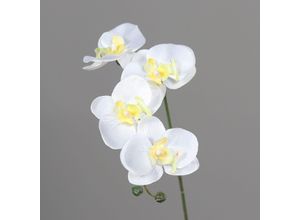 4099886012807 - Orchidee weiß (H 43 cm)
