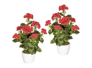 4003529088845 - Geranienbusch UV-beständig Höhe 400 mm 26 Blatt VE 2 Stk Blüten rot kaiserkraft
