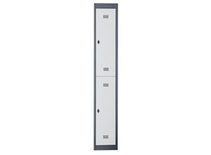 4250618247946 - Stahlspind einbrennlackiert 2 Abteile Höhe 840 mm Breite 300 mm 1 Kleiderstange Anbauelement anthrazitgrau   lichtgrau