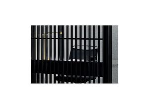 7332835752346 - Gitterverkleidung für Zen Pod Schmalseite HxB 2245 x 1200 mm schwarz kaiserkraft