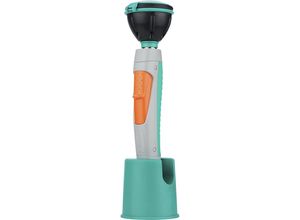 4251138221232 - Hand-Augendusche ClassicLine Brausekopf grau grün kaiserkraft