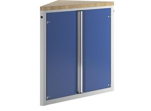 4014641202286 - Schrank für Material- und Werkzeugausgabetheke 2 Türen 2 Fachböden dreieckig grau   blau ANKE