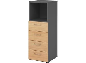 4032062324479 - Regalschrank 934S4 Popular V934S4 G 6 BS grafit buche 400 x 420 x 1100 cm