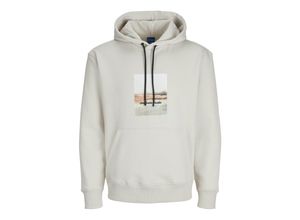 5715615249038 - Jack & Jones Kapuzensweatshirt VESTERBRO NEWTON Hoodie