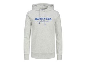 5715604733050 - Jack & Jones Kapuzenpullover ALVIS Hoodie