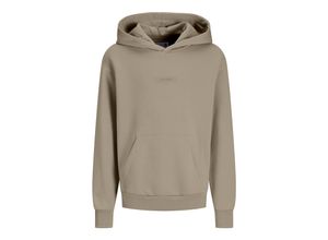 5715676682973 - Jack & Jones Junior Hoodie TAKA Kapuzensweatshirt