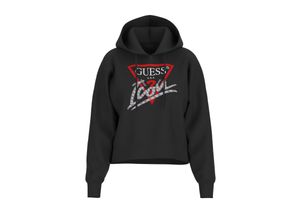 7625408556633 - Kapuzensweatshirt Hoodie ICON