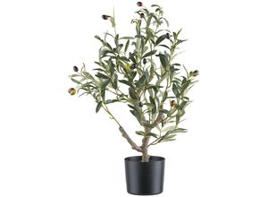 4064118353881 - Kunstpflanze CREATIV GREEN Olive grün H70cm Kunststoff Kunstpflanzen mit detailgetreuer Gestaltung