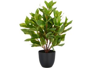 4064118352648 - Kunstpflanze CREATIV GREEN Epipremnum aureum grün H40cm Kunststoff Kunstpflanzen mit schönem Blattwerk