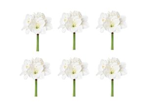 4064118192077 - Amaryllis weiß VE 6 Stk Gesamthöhe 560 mm kaiserkraft
