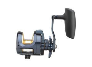 0043178187241 - Daiwa 24 Saltiga (G) 15L Multirolle