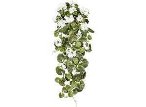 4003529258545 - Geranienhänger Höhe 800 mm UV-beständig Blüten weiß kaiserkraft