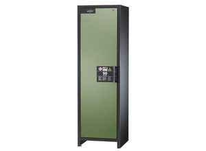 4250101115400 - asecos Feuerbeständiger Industrie-Gefahrstoffschrank Typ 90 HxBxT 1955 x 600 x 615 mm 1-türig resedagrün