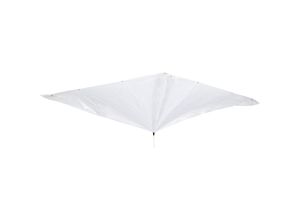 0036226017607 - Leckagen-Umleiter für Dächer BxH 3050 x 3050 mm transparent PIG